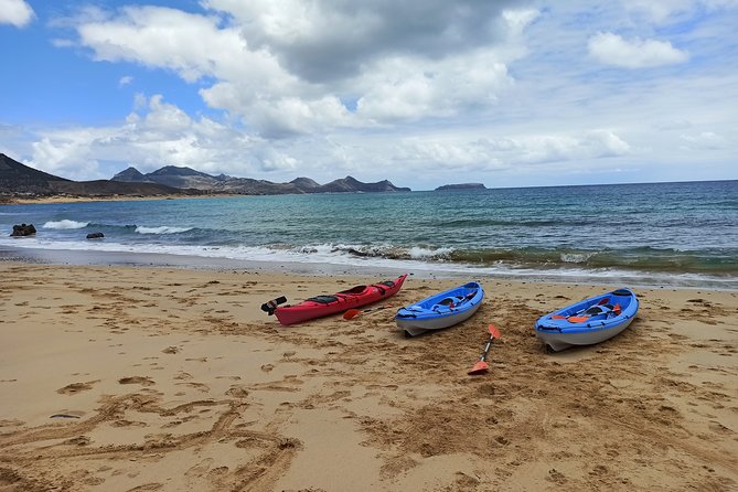 Kayak Tours - Key Points