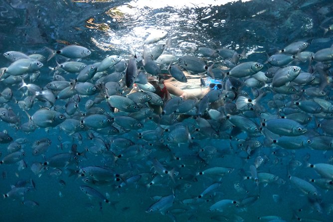 Kayak Tours in Pula to Blue Cave | Cold Beer/Water Included - What to Expect During the Tour