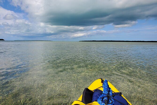 Kayak Trip, 1 Wet Hike + 2 dry hikes in Everglades National Park - An In-Depth Look at the Everglades Tour