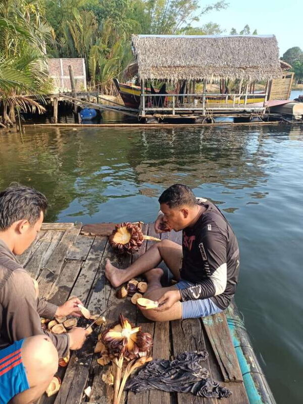 Kayak trip around Green cathedral, Swim, Reflection sunset - FAQs