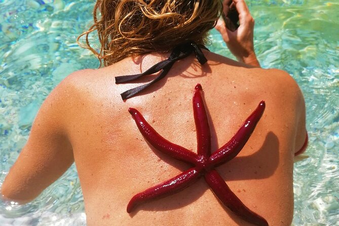 Kayak Trip to Hidden blue Cave, with lunch & fruits. - Key Points