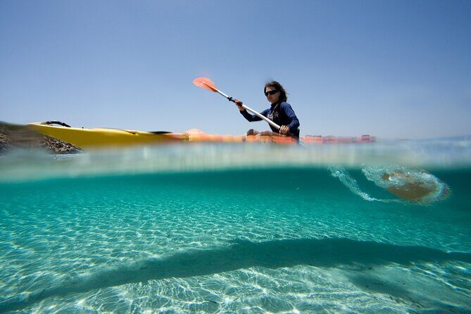 Kayak trip with snorkelling in the Marine Reserve of Menorca - Key Points