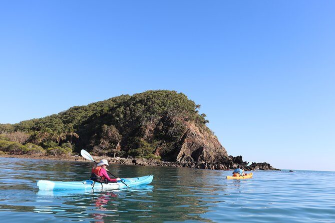 Kayak Turtle Tour from Palm Cove - Key Points