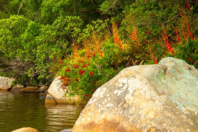 Kayak Water Trail in Red River Park by Adrenailha - Exploring the Lagoa Da Conceição