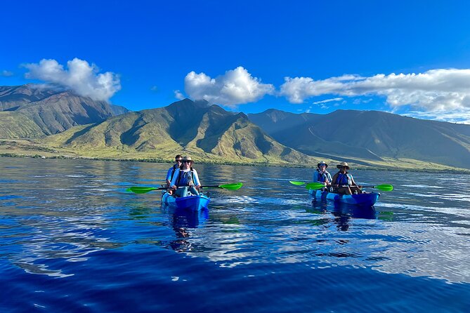Kayak, Whale Watch, and Snorkel With Optional Photo and Video - Key Points
