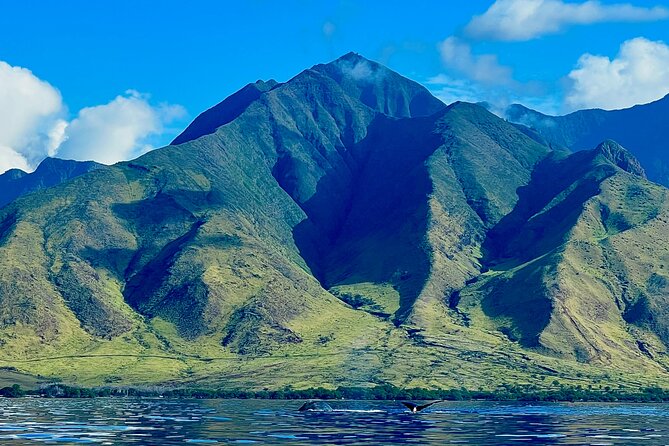 Kayak, Whale Watch, and Snorkel With Optional Photo and Video - Snorkeling Amidst Marine Life