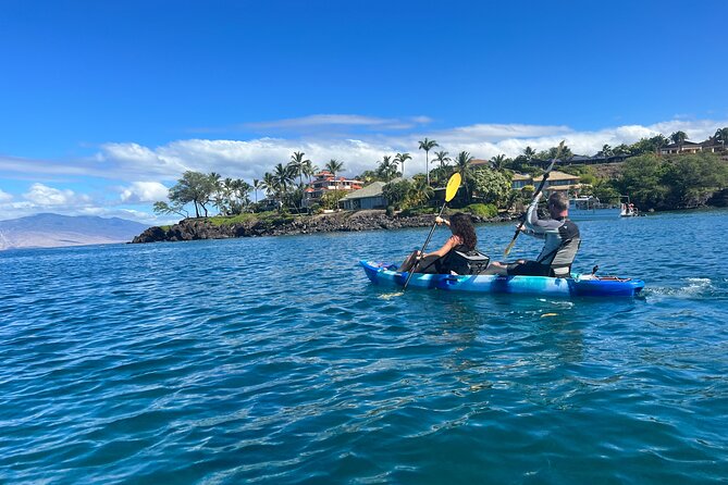 Kayak, Whale Watch, and Snorkel With Optional Photo and Video - Customer Feedback and Highlights