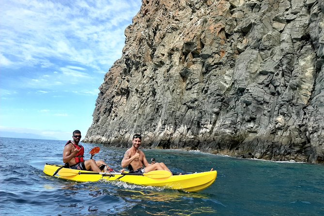 Kayak With Dolphin & Turtle Watching Private Tour - Wildlife Experience