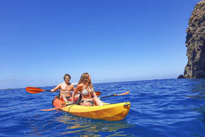 Kayak With Dolphin & Turtle Watching Private Tour - Fitness and Accessibility