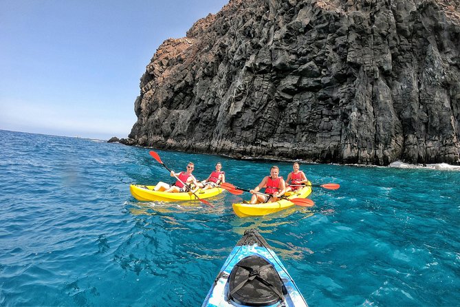 Kayak With Dolphin & Turtle Watching Private Tour - Booking Information