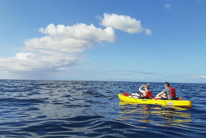 Kayak With Dolphin & Turtle Watching Private Tour - Snorkeling Adventure
