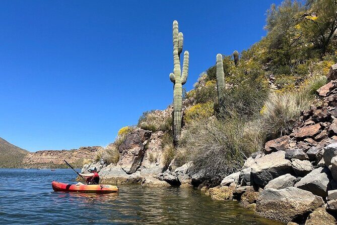 Kayaking 3 Hr Canyon & Cliffside on Saguaro Lake - In-Depth Look at the Experience