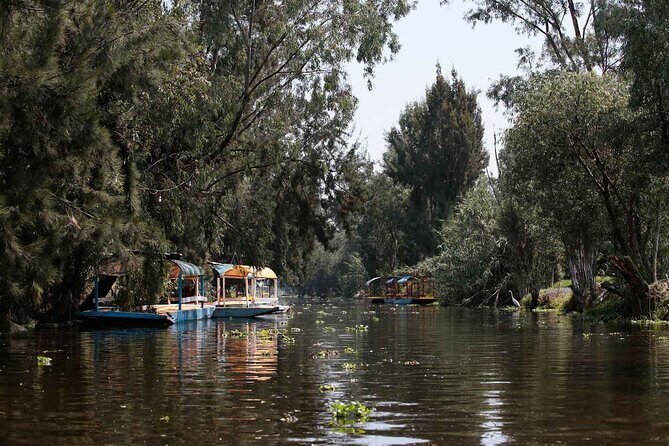 Kayaking adventure through the Xochimilco and Frida Kahlo Canals - Key Points
