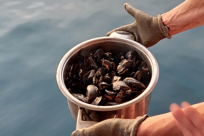 Kayaking and Mussels Tasting at Krka River Estuary-Private Tours - Pricing and Cancellation Policy