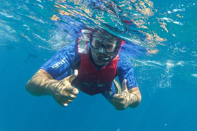 Kayaking and Snorkeling - Guided Experiences