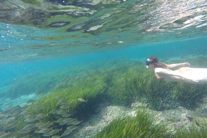 Kayaking and Snorkeling in the Best Coves of the Cabo De Gata Natural Park - Snorkeling Adventures in Crystal Clear Waters
