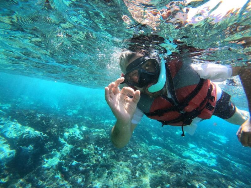 Kayaking and Snorkeling with Turtles - What Reviews Reveal About This Tour