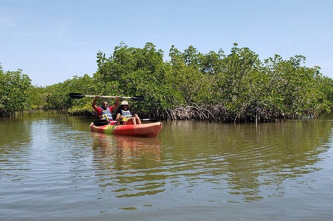 Kayaking Backwaters of New Smyrna Beach Ecotour/Birdwatching - Introduction