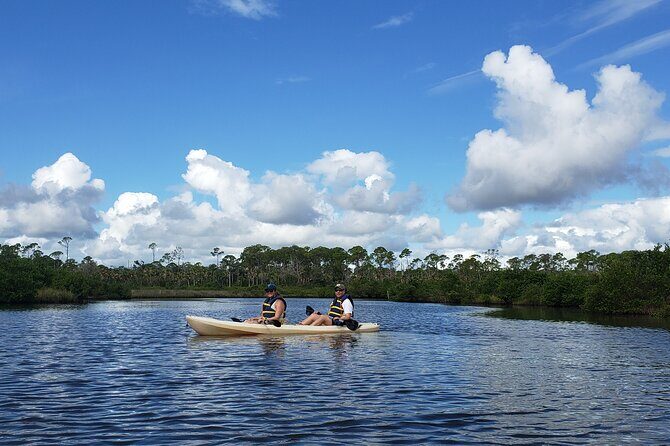 Kayaking Backwaters of New Smyrna Beach Ecotour/Birdwatching - The Experience Provider and Booking Details