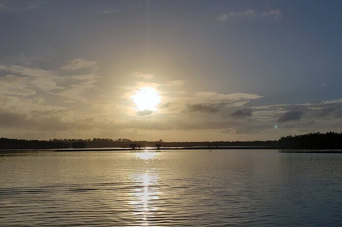 Kayaking Backwaters of New Smyrna Beach Ecotour/Birdwatching - The Sum Up