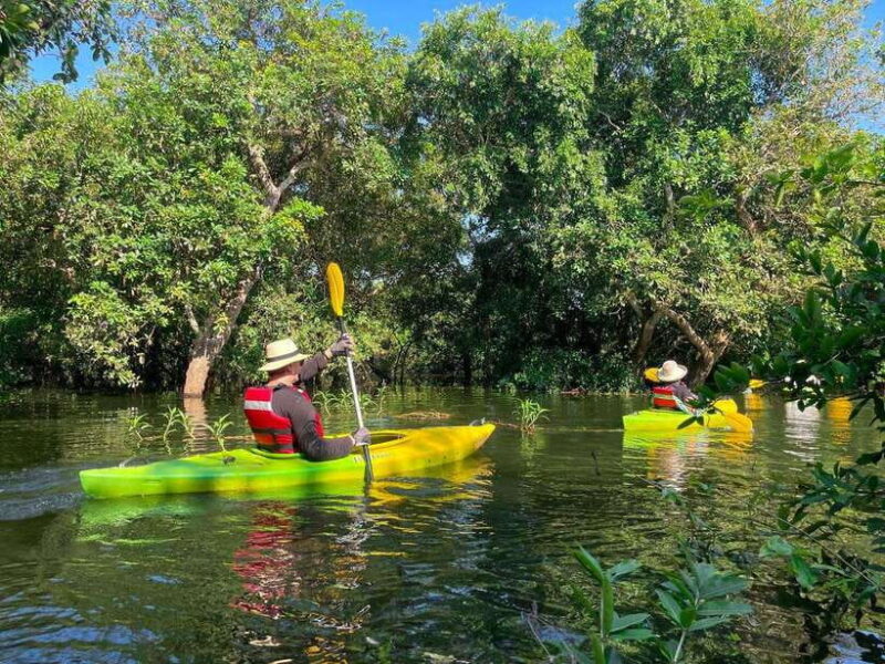 Kayaking & Floating Village in Siem Reap - What to Expect: A Complete Breakdown