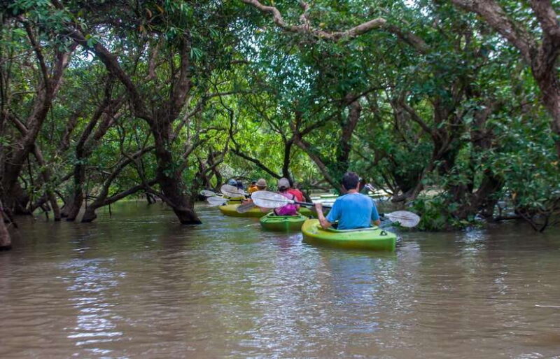 Kayaking & Floating Village in Siem Reap - Analyzing the Value