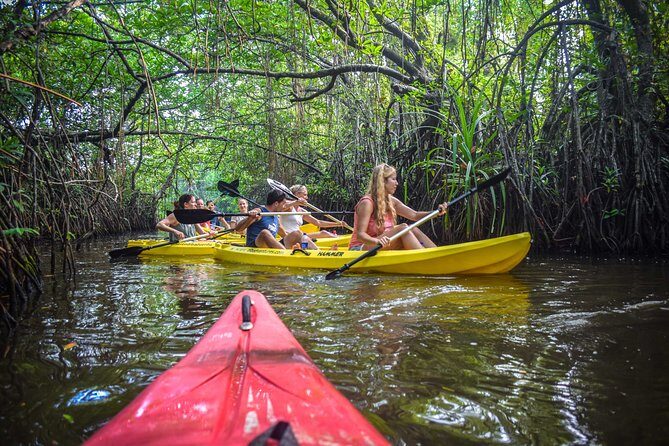 Kayaking from Ahungalla - Introduction