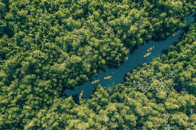 Kayaking from Bentota - The Value of the Experience