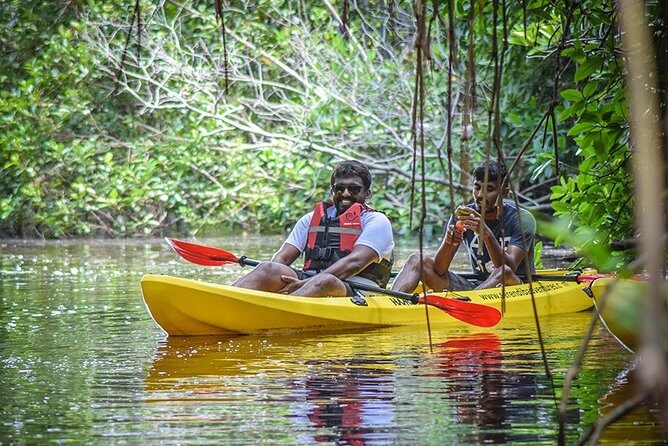 Kayaking from Bentota - The Sum Up