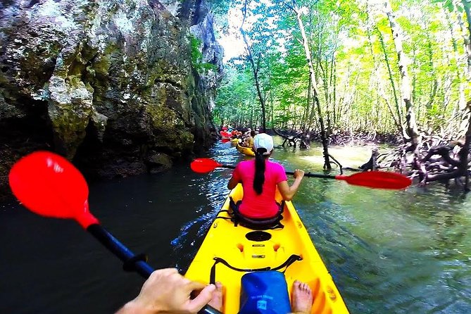 Kayaking in Ao Thalane - Discover the Mangrove life - Practical Tips for Booking and Enjoying This Tour