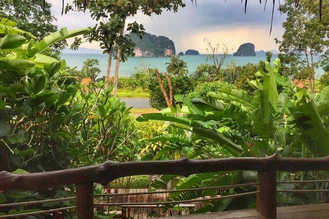 Kayaking in Ao Thalane - Discover the Mangrove life - The Sum Up