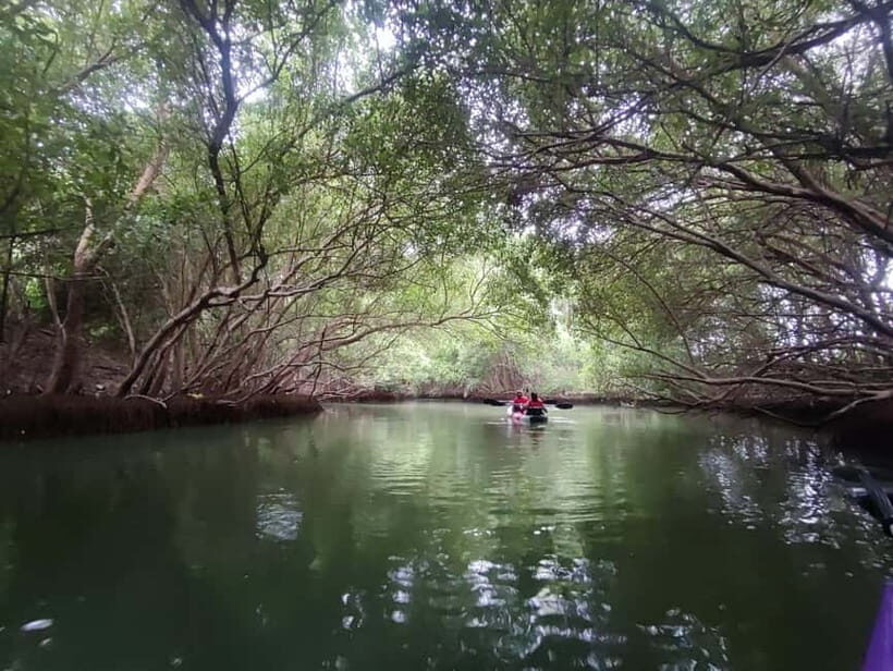 Kayaking in Backwaters of Pondicherry - What’s Included and Practical Details