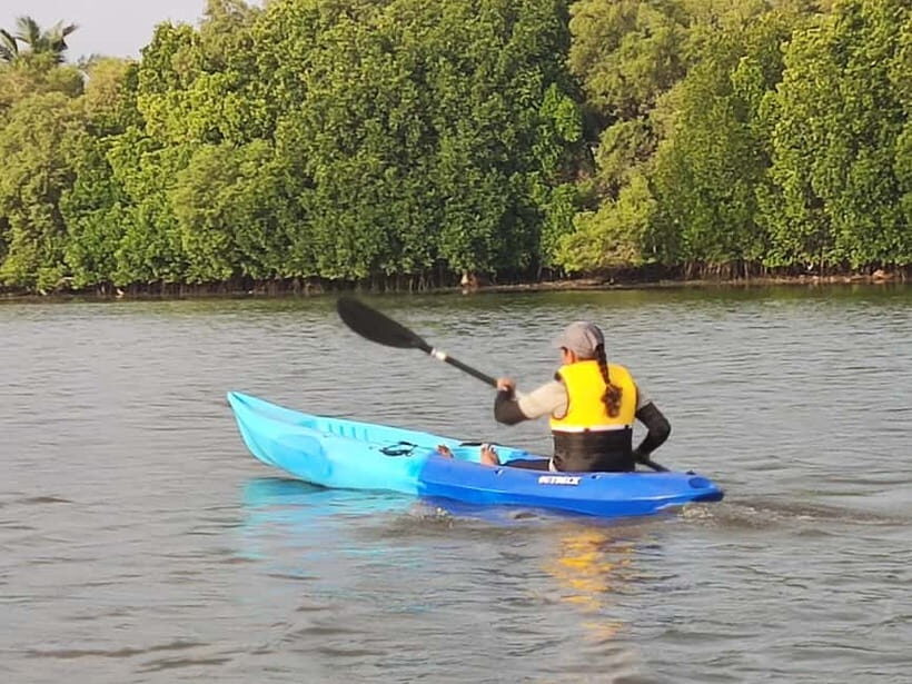 Kayaking in Backwaters of Pondicherry - Why This Tour Is Worth Considering