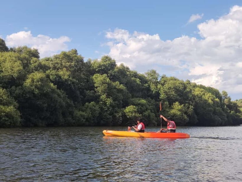 Kayaking in Backwaters of Pondicherry - Final Thoughts on the Backwaters Kayaking Experience