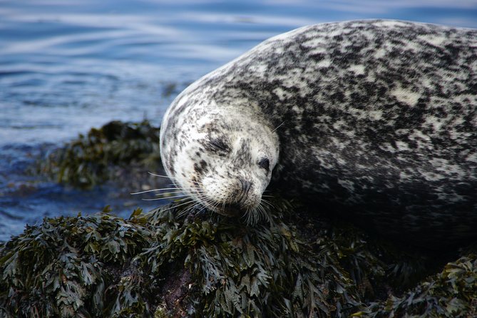 Kayaking in Deception Pass State Park - Participant Eligibility Requirements