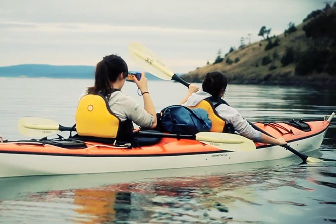 Kayaking in Deception Pass State Park - Wildlife Viewing and Scenic Highlights