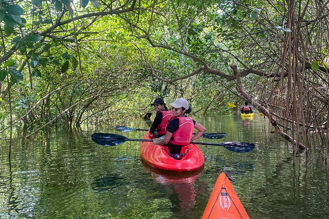 Kayaking in Mangrove Forest of Paravur Backwaters near Varkala and Kollam - Why This Tour Is a Solid Choice