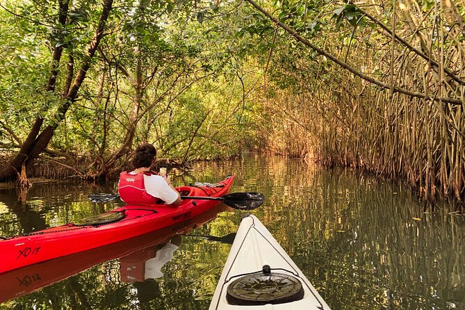 Kayaking in Mangrove Forest of Paravur Backwaters near Varkala and Kollam - Who Should Consider This Tour?