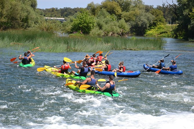 Kayaking - Kayak Tour Karlovac - Highlights of the Experience