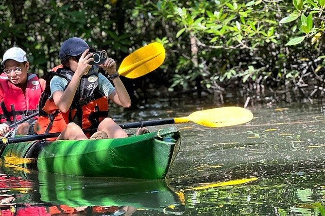 Kayaking Kilim Mangrove Geoforest - Who Should Consider This Tour?