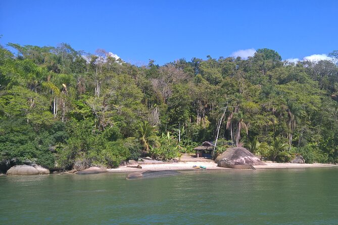 Kayaking Mangroves Tour - Exploring the Mangrove Ecosystem