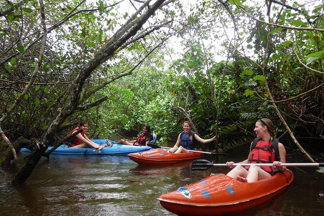 Kayaking Mangroves Tour - Scenic Stops and Beach Breaks