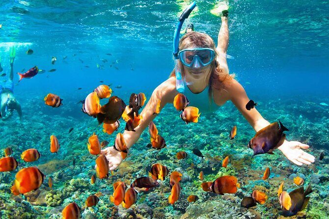 Kayaking & Snorkeling in Samana Bay and Cayo Levantado Island - Analyzing the Value