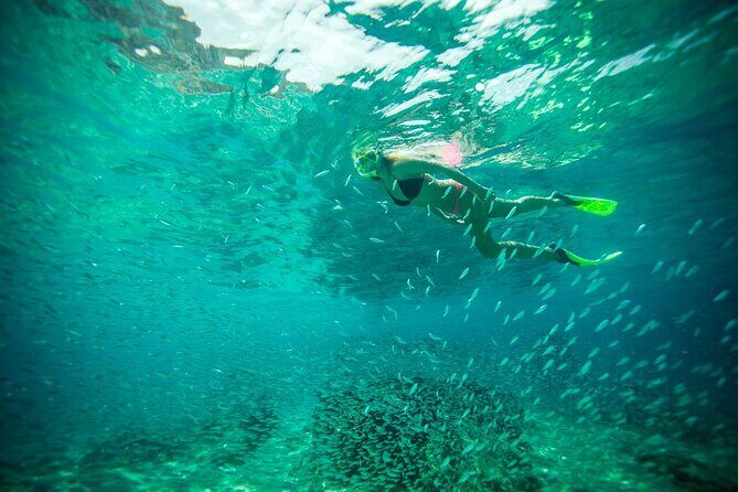 Kayaking & Snorkeling in the Spectacular Waters of Los Cabos - Final Thoughts