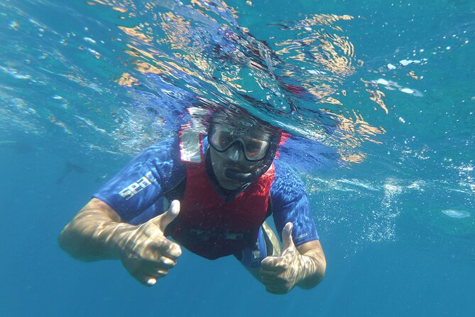 Kayaking + Snorkeling With Turtles - Group Size and Confirmation