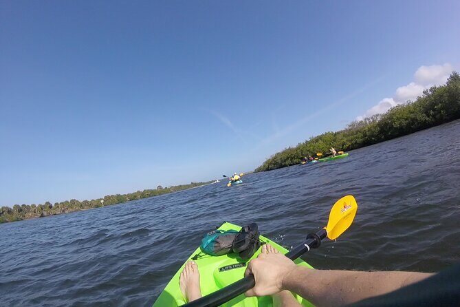 Kayaking the Canals of Venice, FL - An In-Depth Look at the Tour Experience