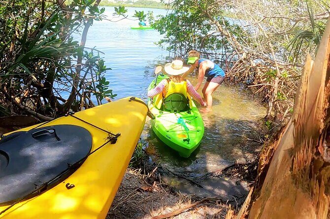 Kayaking the Canals of Venice, FL - Why This Tour Works