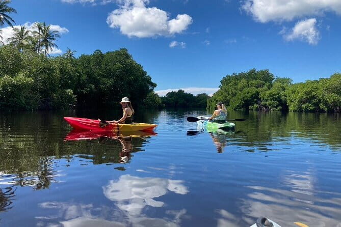Kayaking Through the Kalpitiya Mangroves - A Deep Dive into the Experience