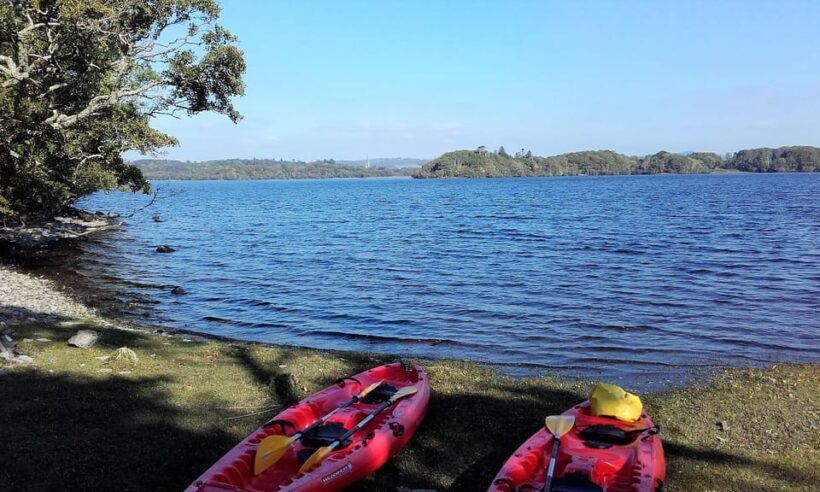 Kayaking to Innisfallen Island. Killarney. Guided. - Pricing and Value