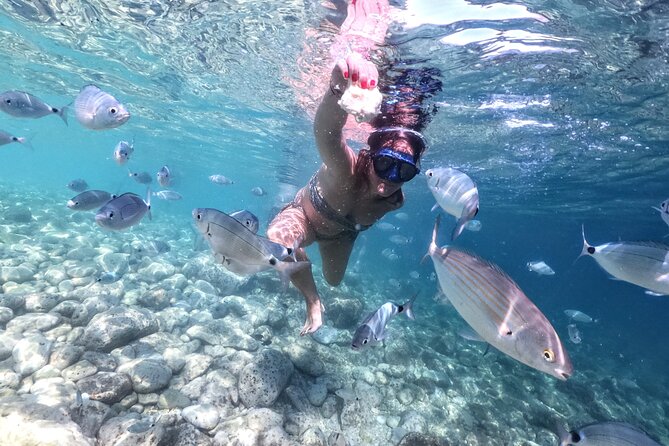 Kayaking to Island Saint Jerolim With Snorkeling Activitie - Visiting the Danijels Lighthouse
